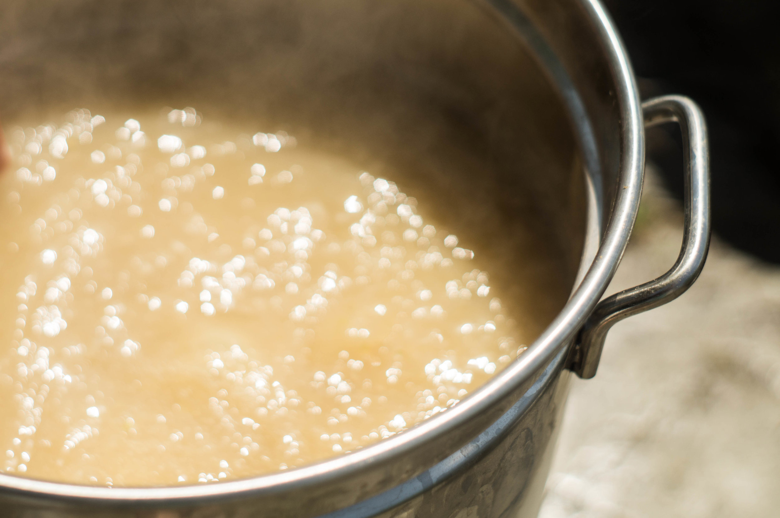 Dandelion Beer Recipe