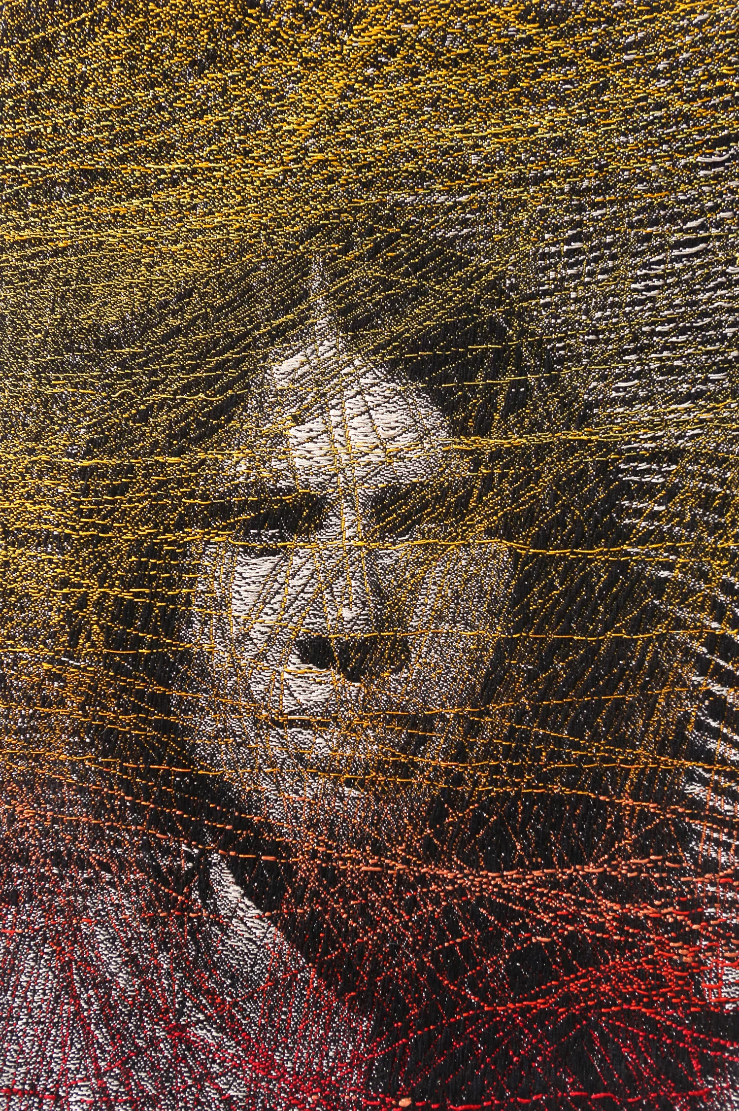 Lia Cook — Bay Area Women Artists' Legacy Project