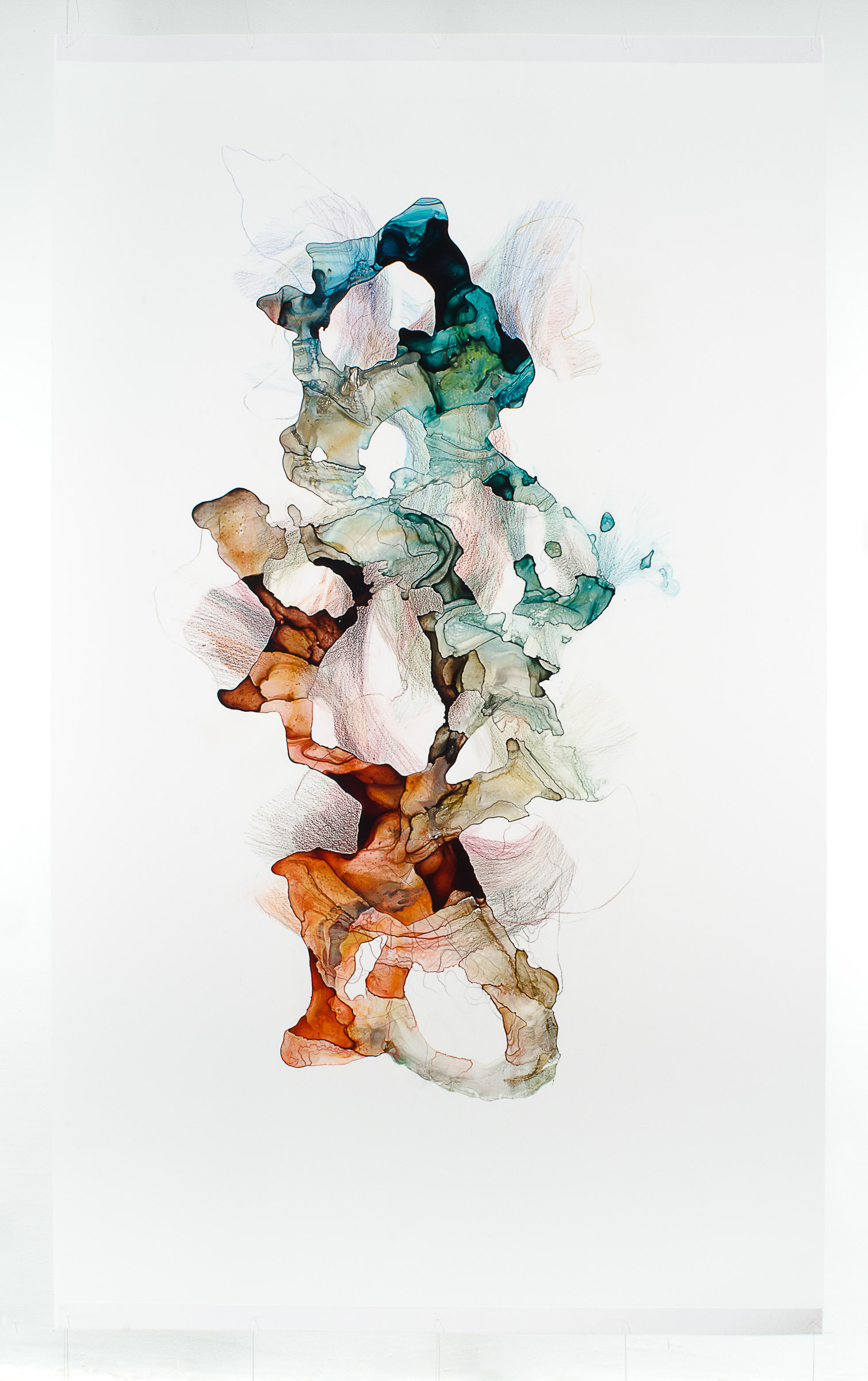 Rebecca Haseltine — Bay Area Women Artists' Legacy Project