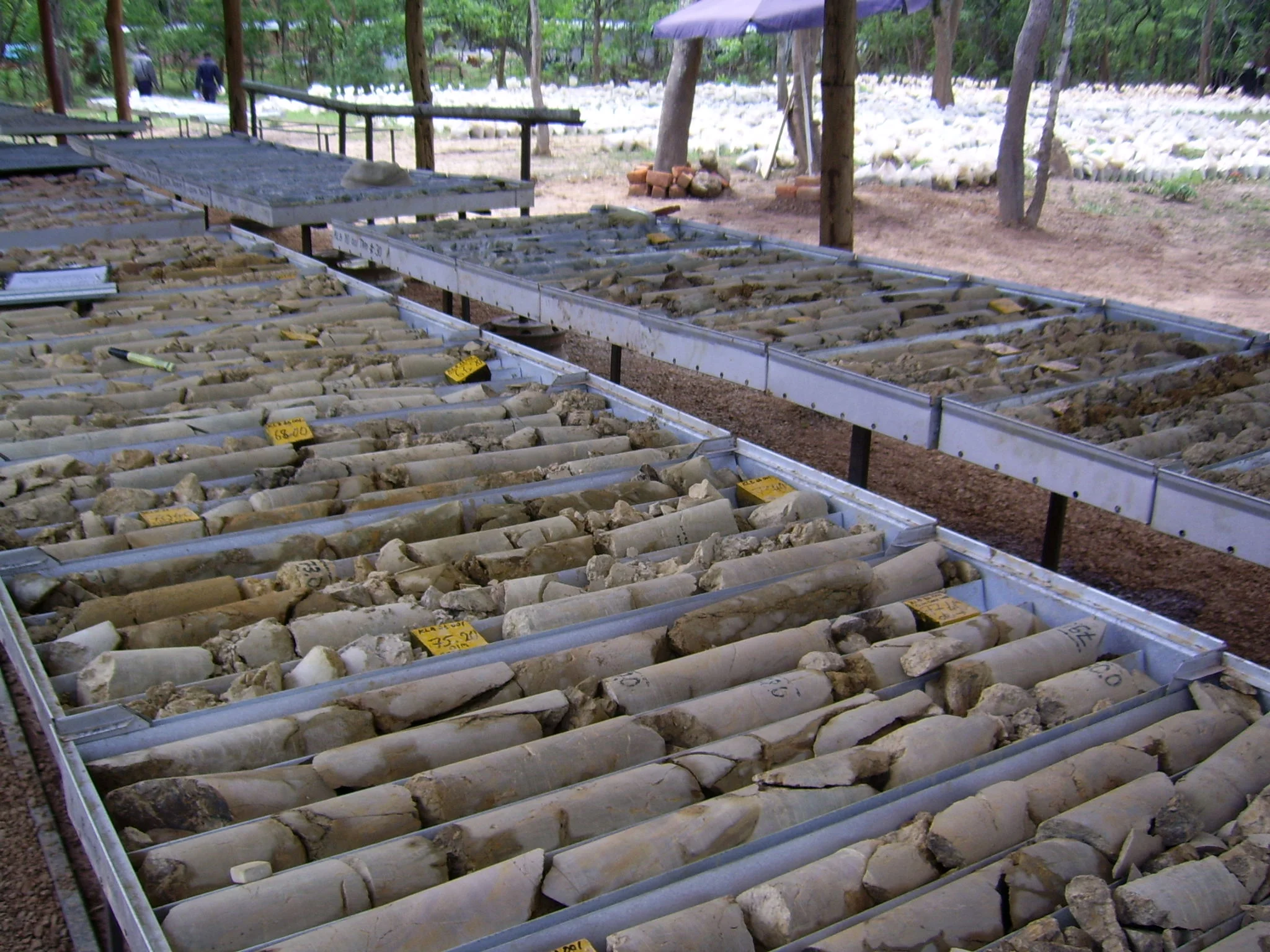 About — Colin Rice