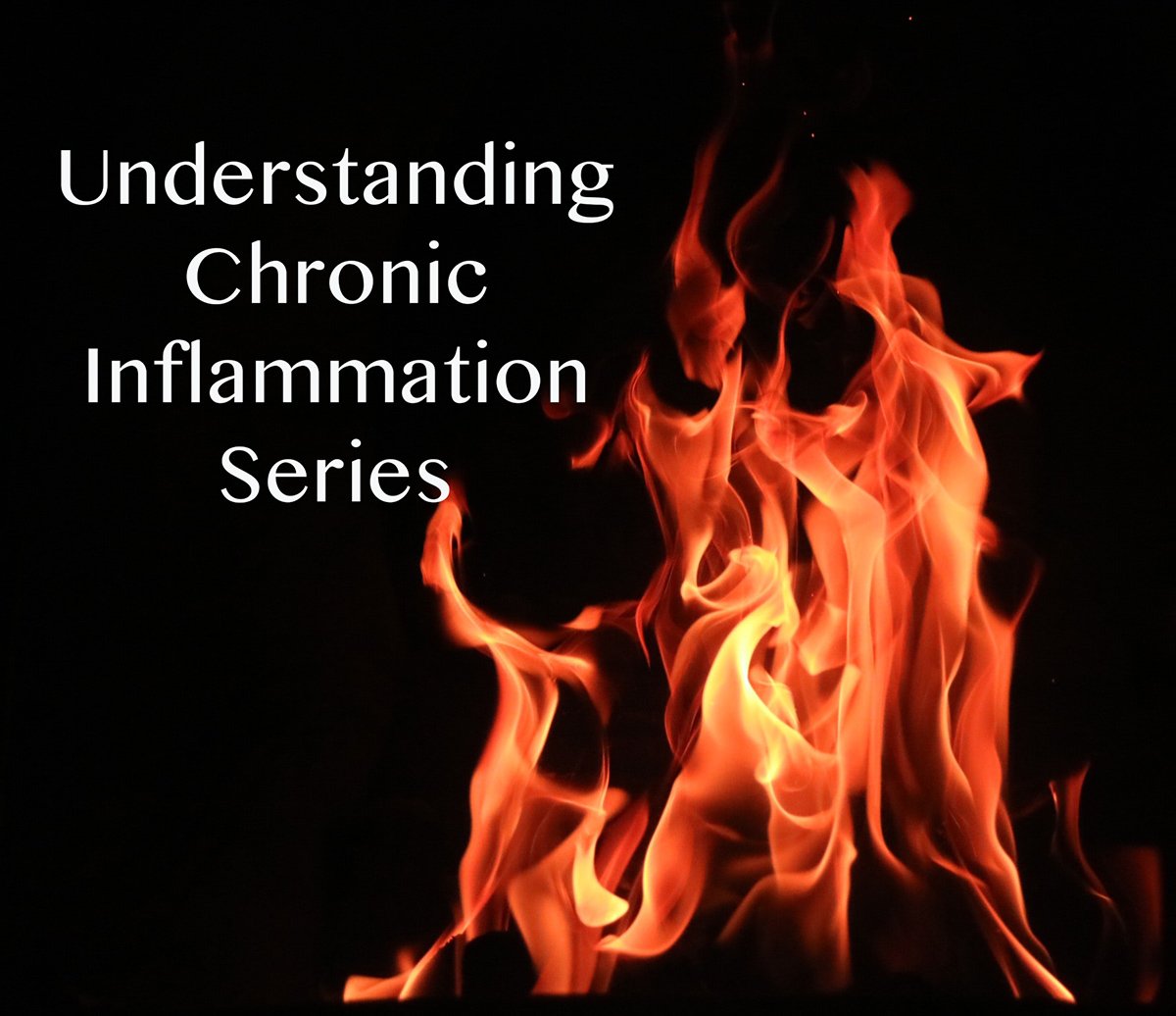 Chronic Inflammation & the Immune System — Gracious Vegan