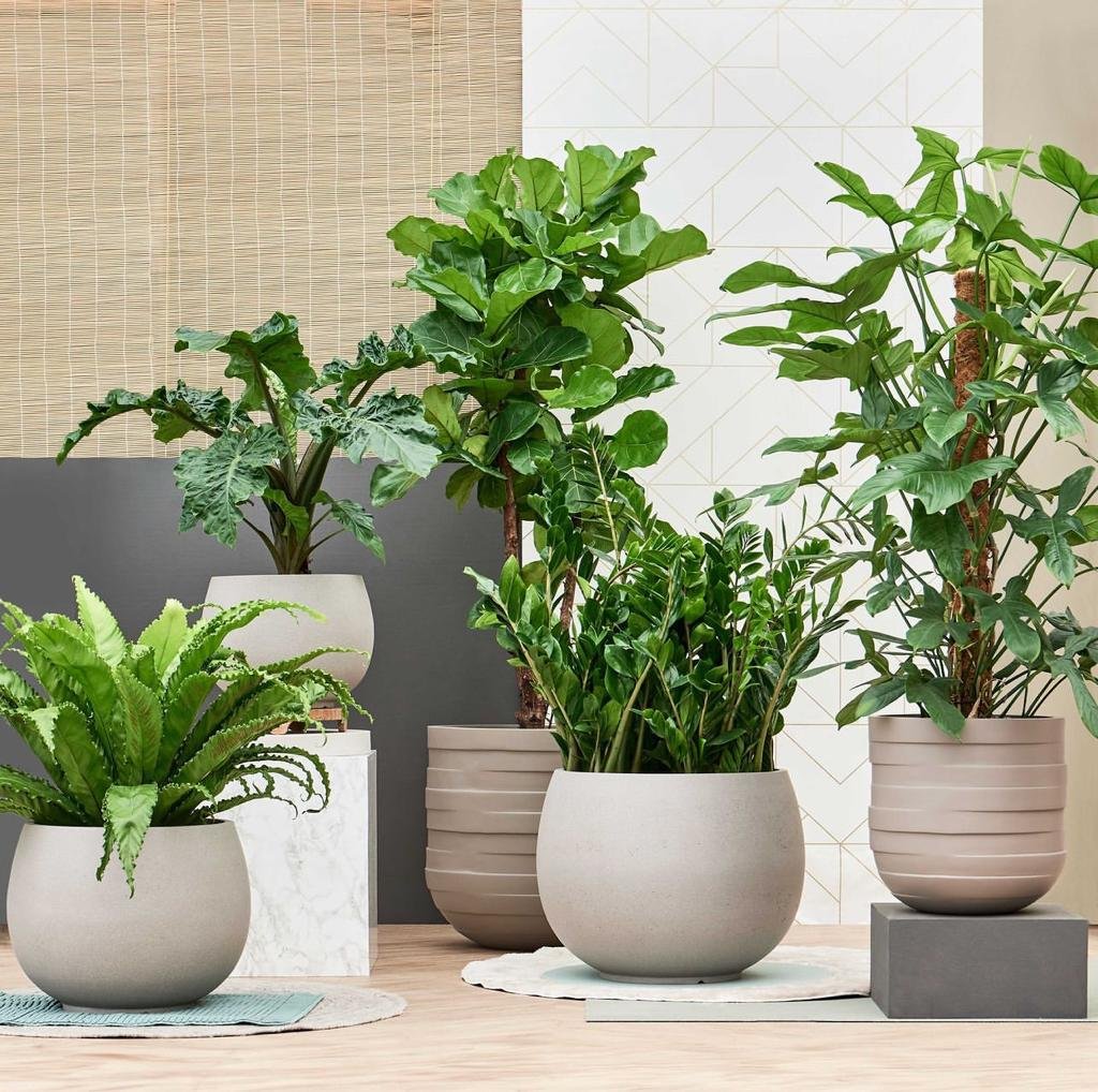 Planters Catalog