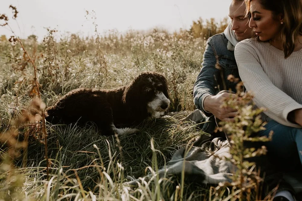 Kate, Cody + Denver | St. Albert Family Session — Terolenn Photography
