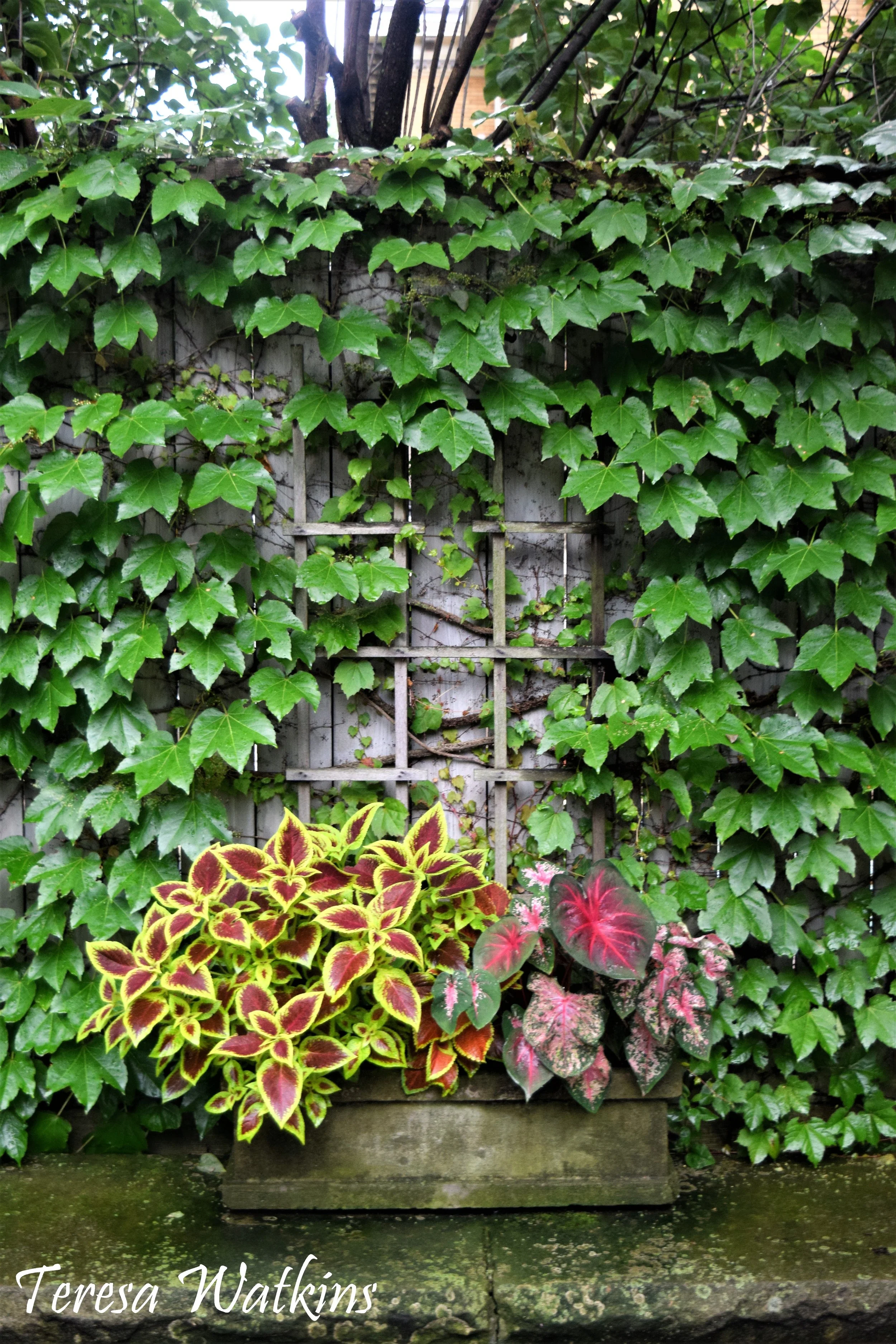 Sustainable Horticultural Environments