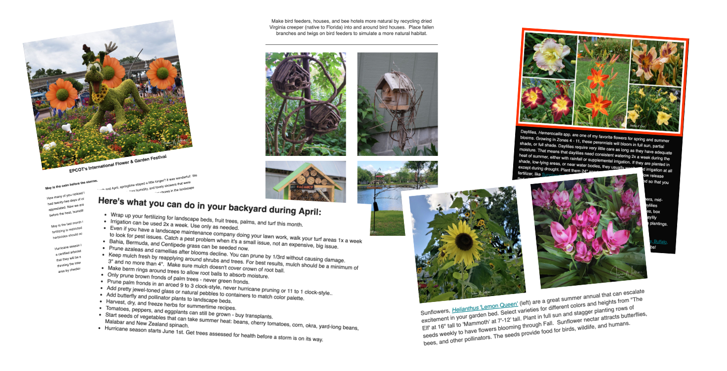 In Your Backyard Newsletter — Sustainable Horticultural Environments