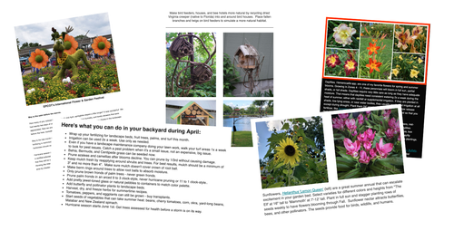 In Your Backyard Newsletter — Sustainable Horticultural Environments