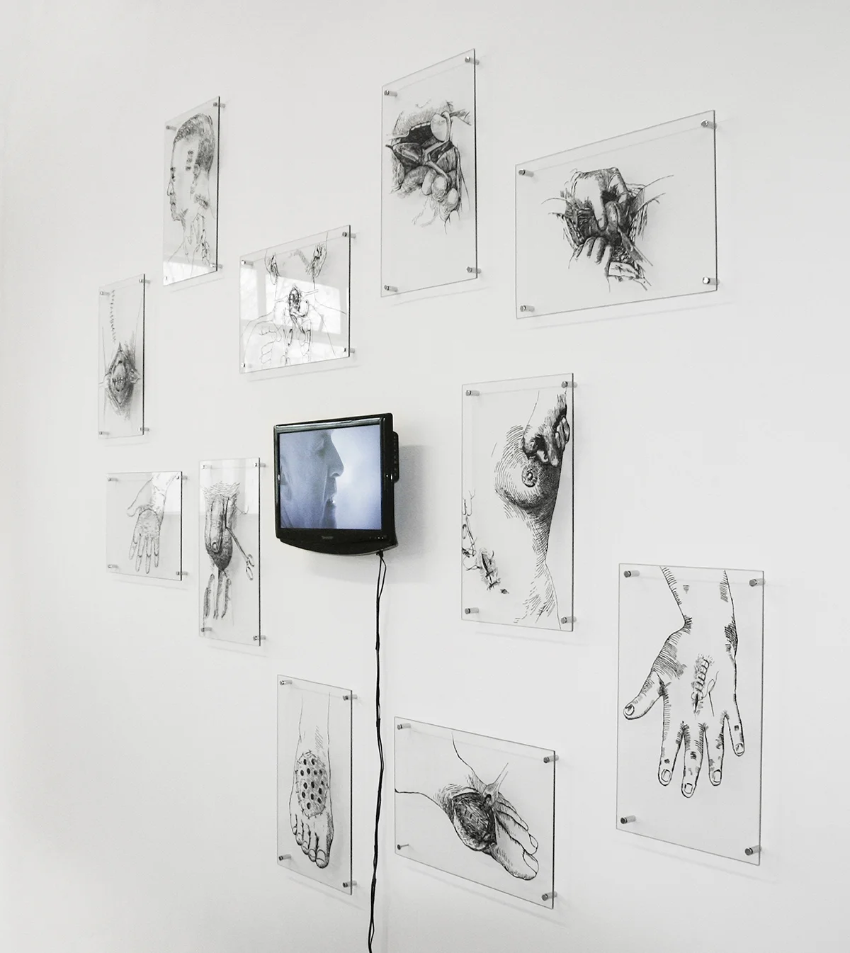 Building a Commons - Anna Macleod