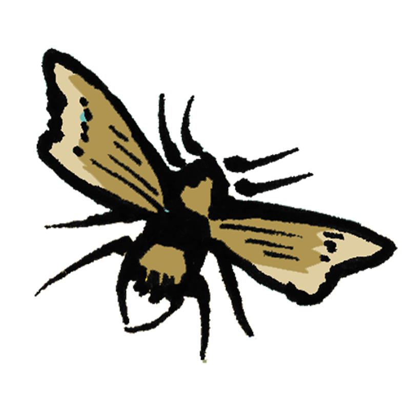 About — Max Abrams