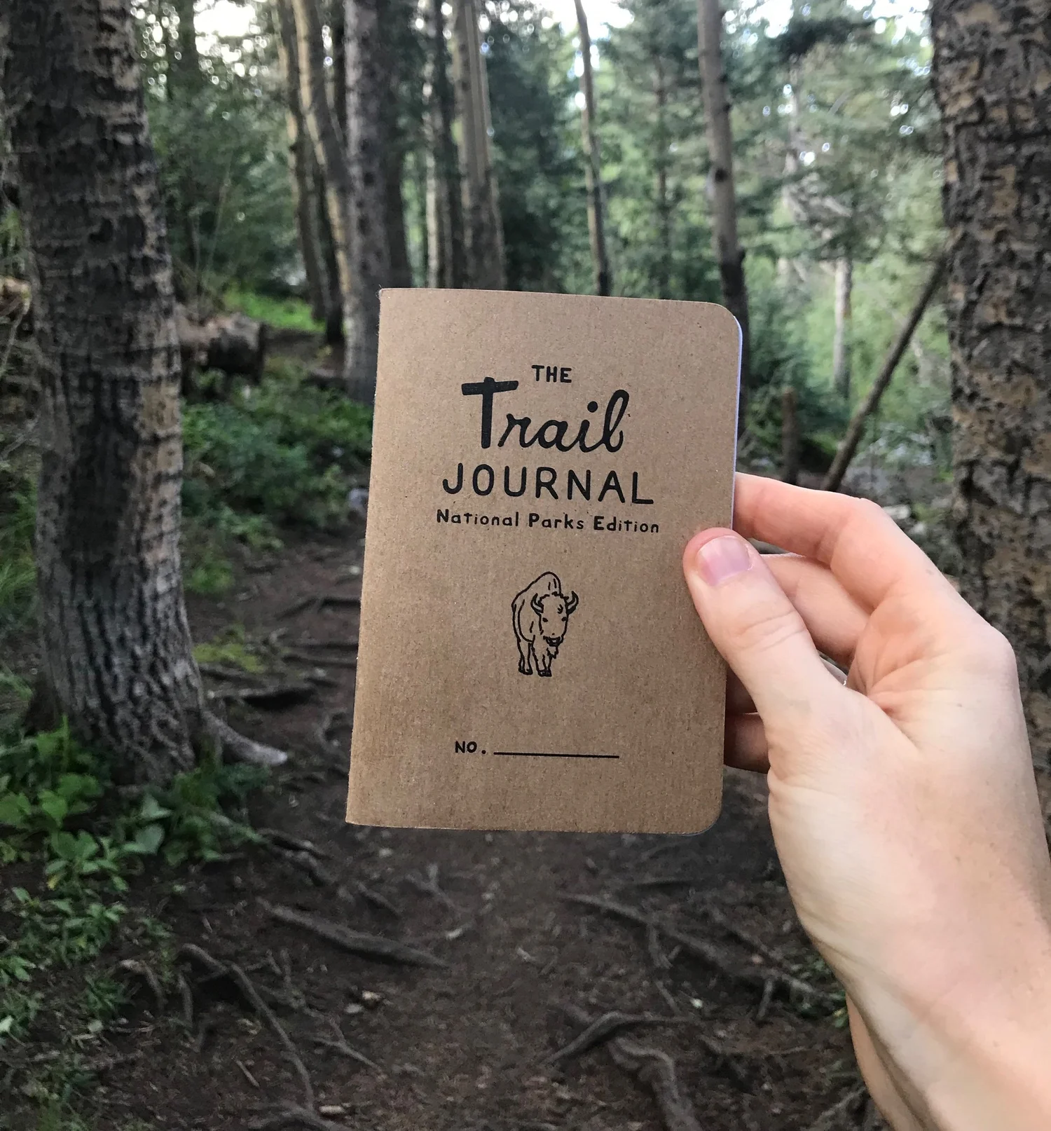 10 Journaling Prompts for National Parks — Dear Summit Supply Co.