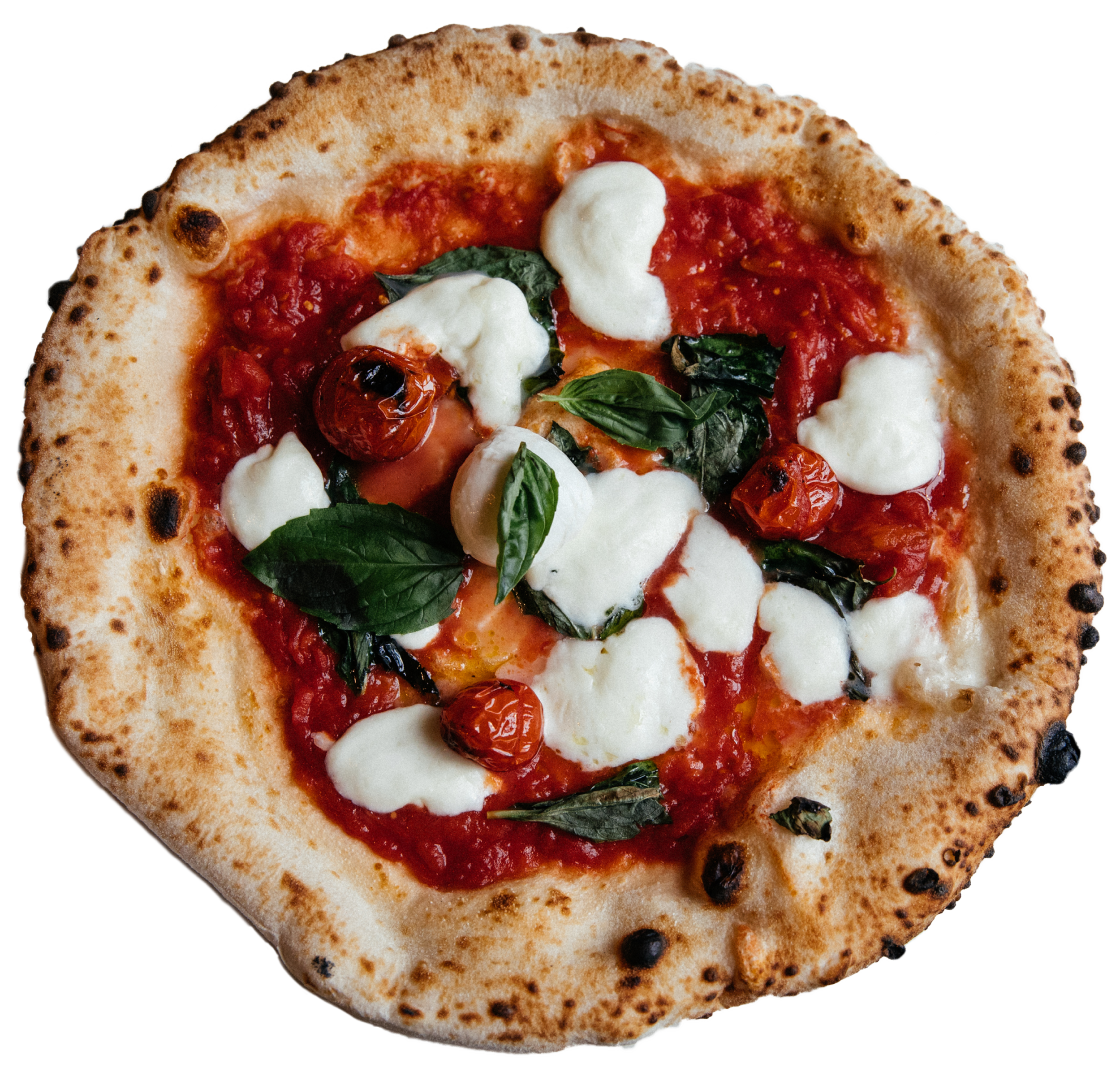 Gallucci