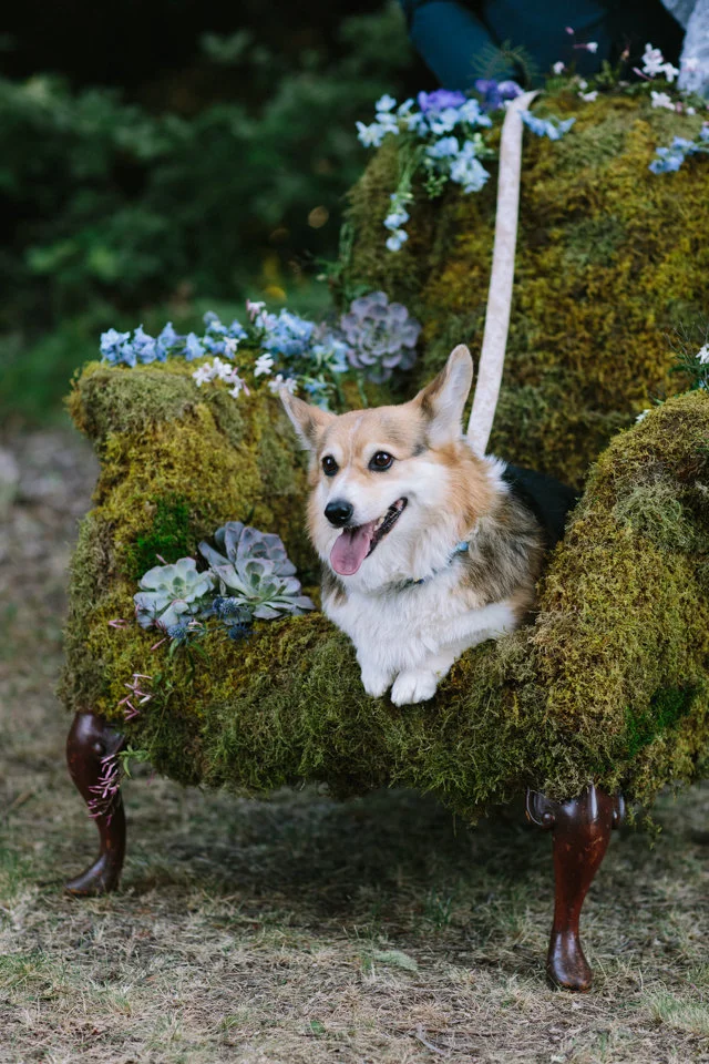 Who is Marion Moss? — Marion Moss Floral Design