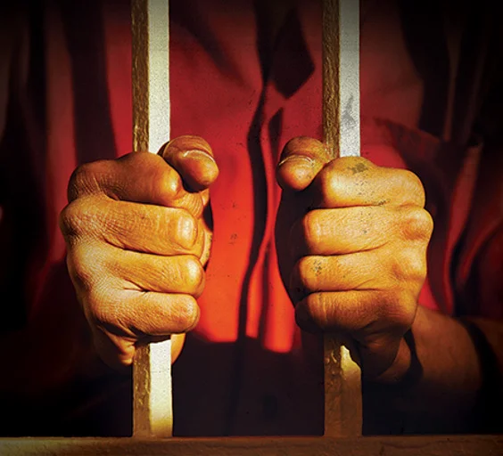 Andrew Liberman | Advertising, Design & Digital, Baltimore, MD ...