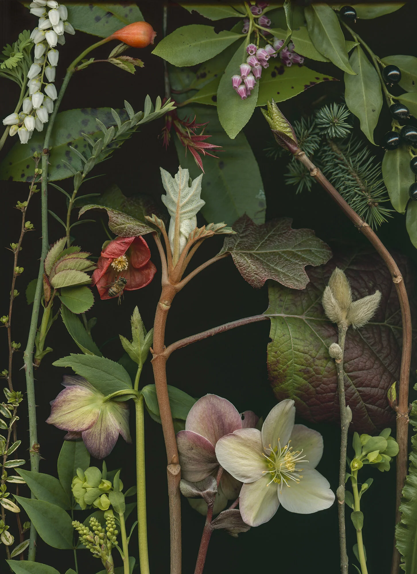 In the collections of — Deb Stoner