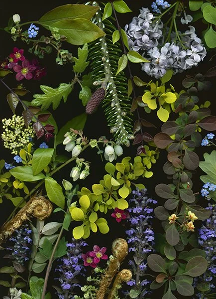 In the collections of — Deb Stoner