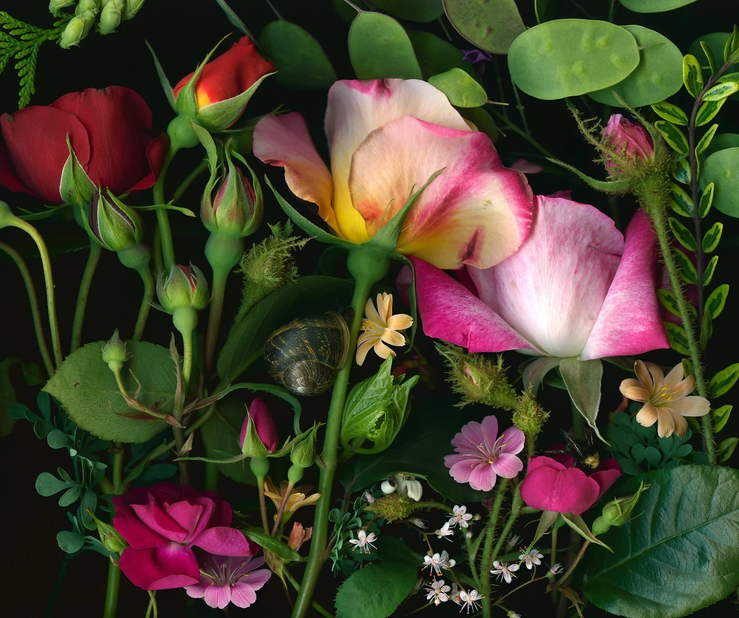 In the collections of — Deb Stoner