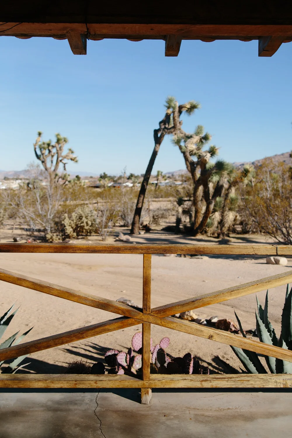 the joshua tree house — maci elise