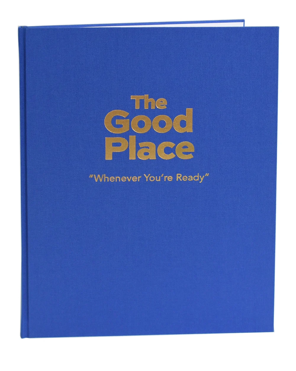 script and thesis bindings — Gibbs Bookbinding