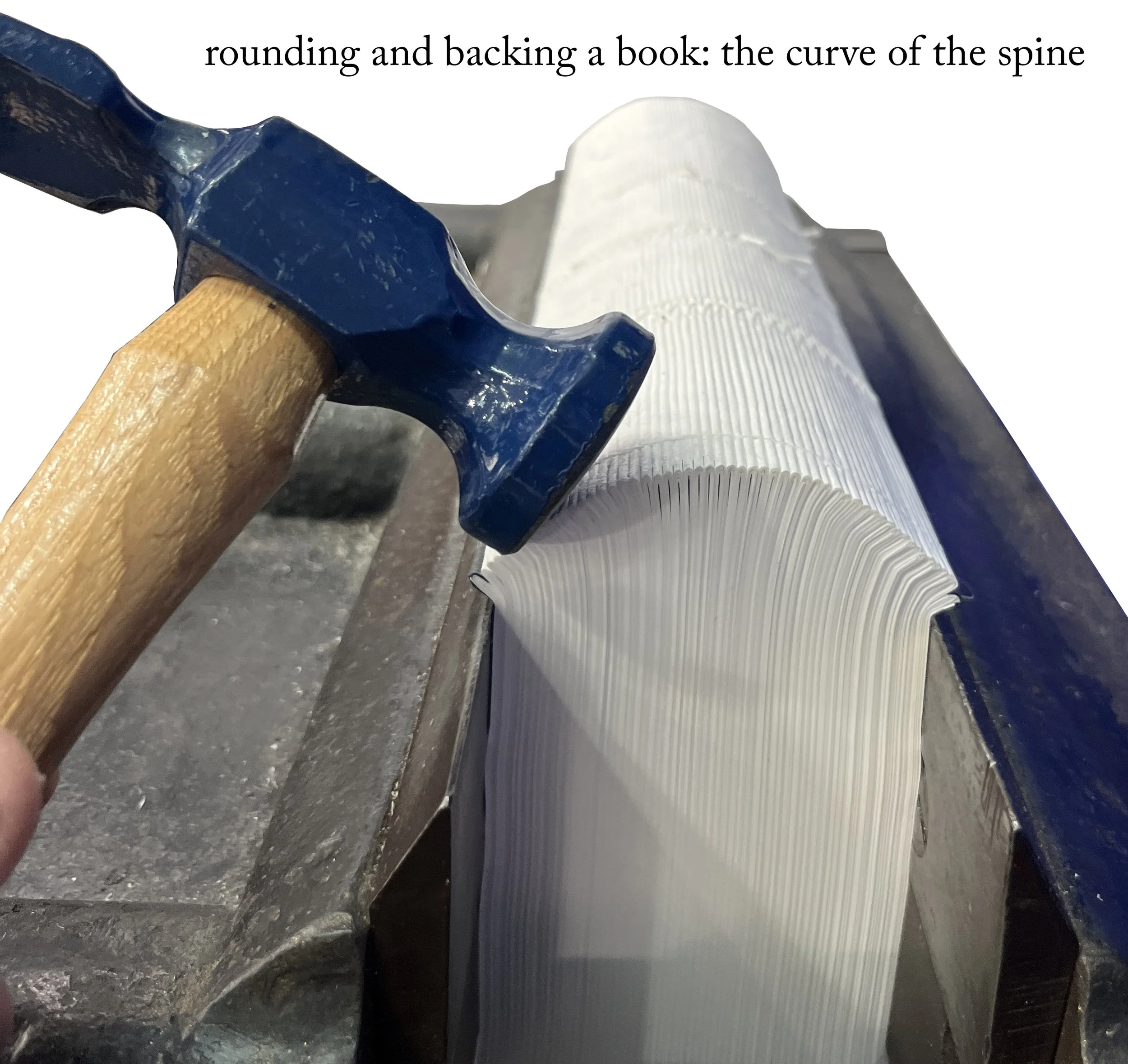 bookbinding specifications — Gibbs Bookbinding