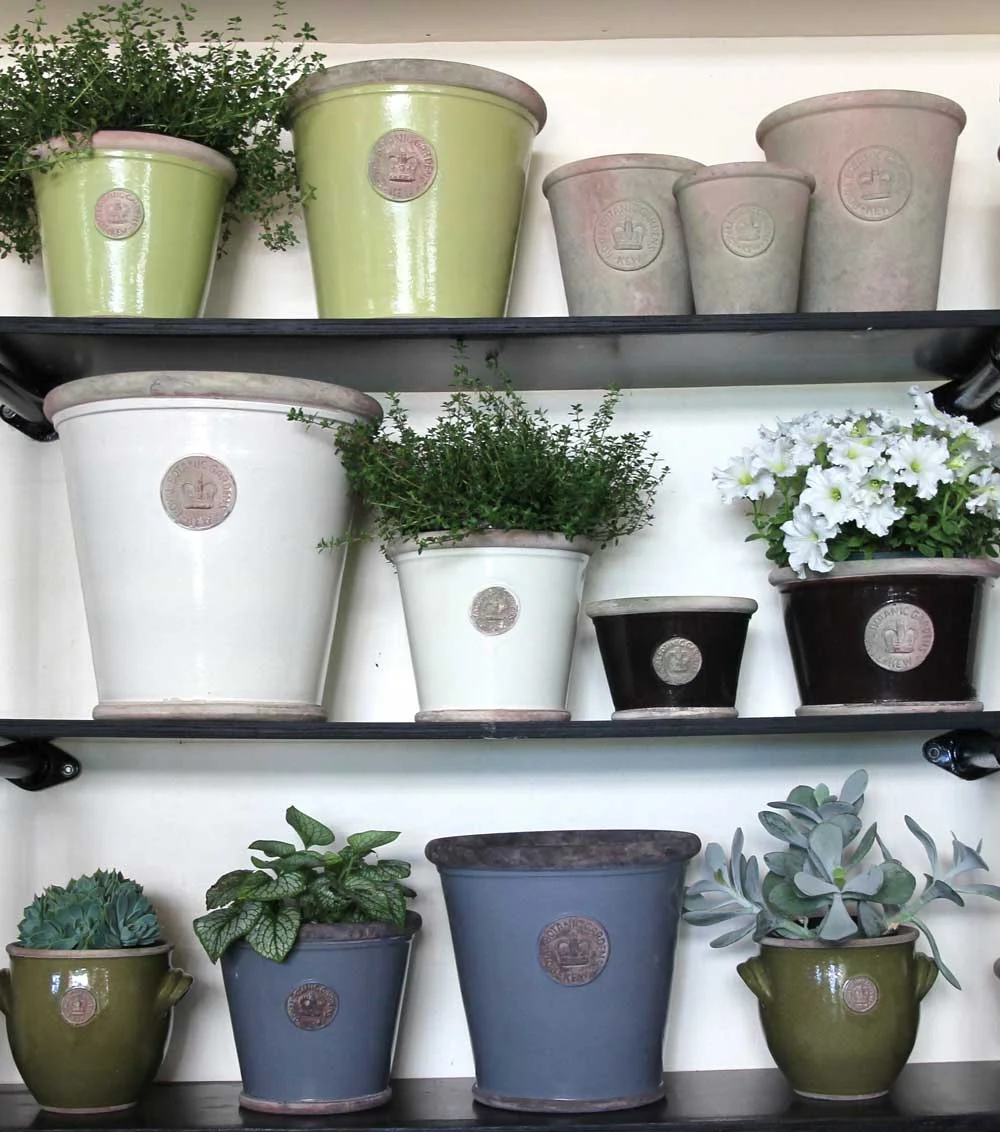 Pots & Urns — Julian Ronchi