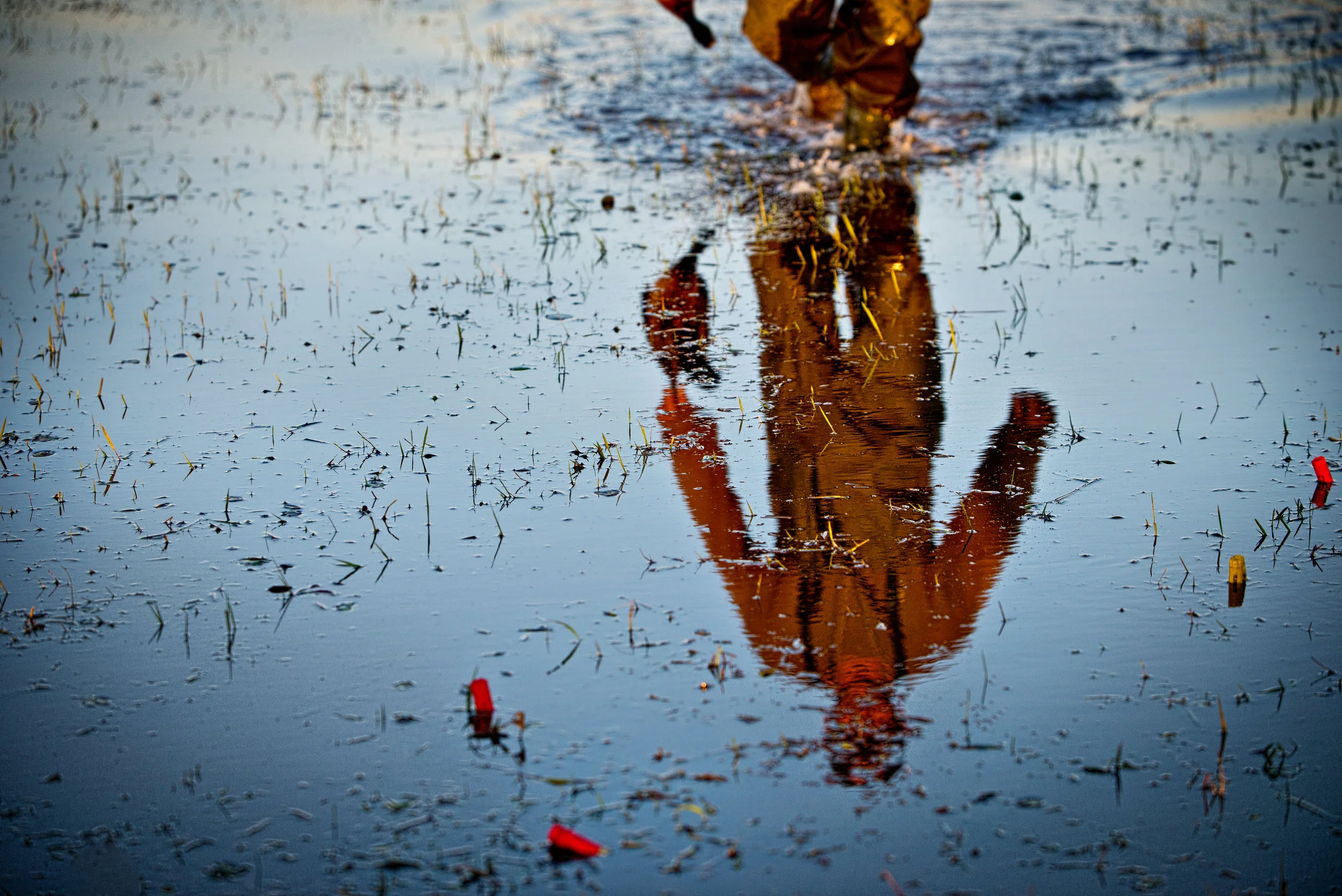 Arian Stevens Photography