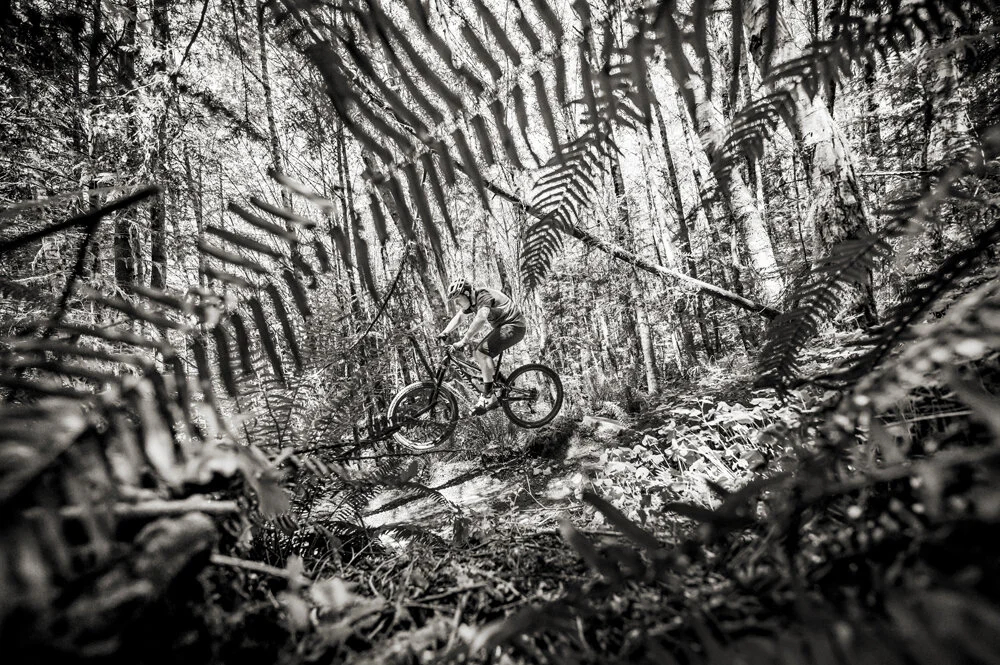 Arian Stevens Photography