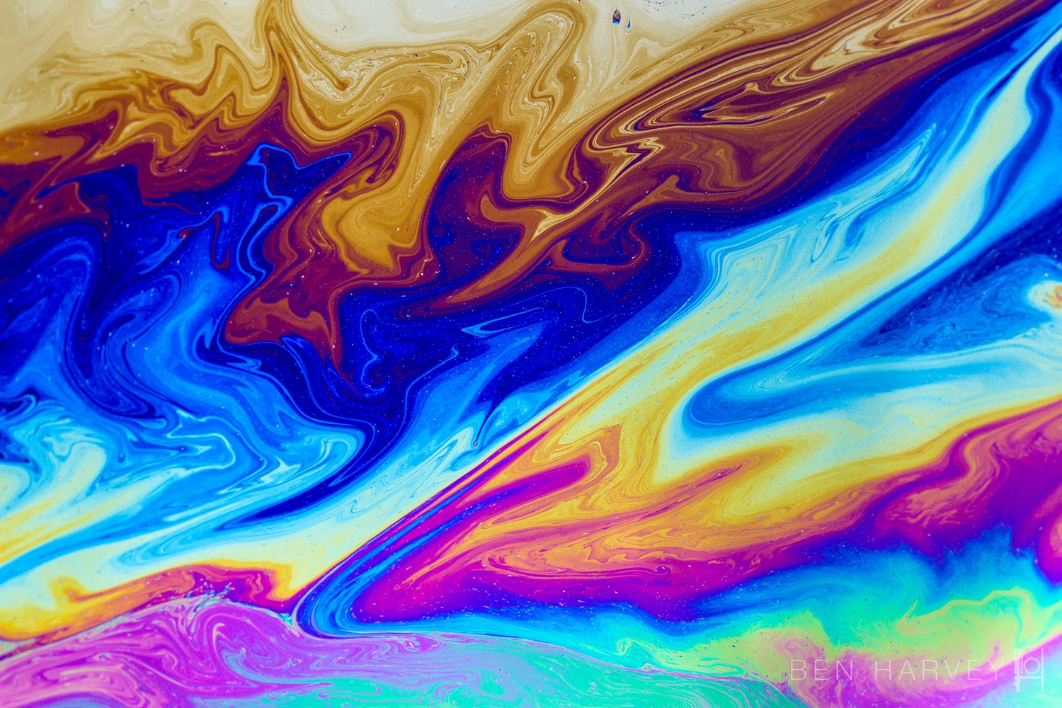 Photographing Bubbles — Ben Harvey Photography