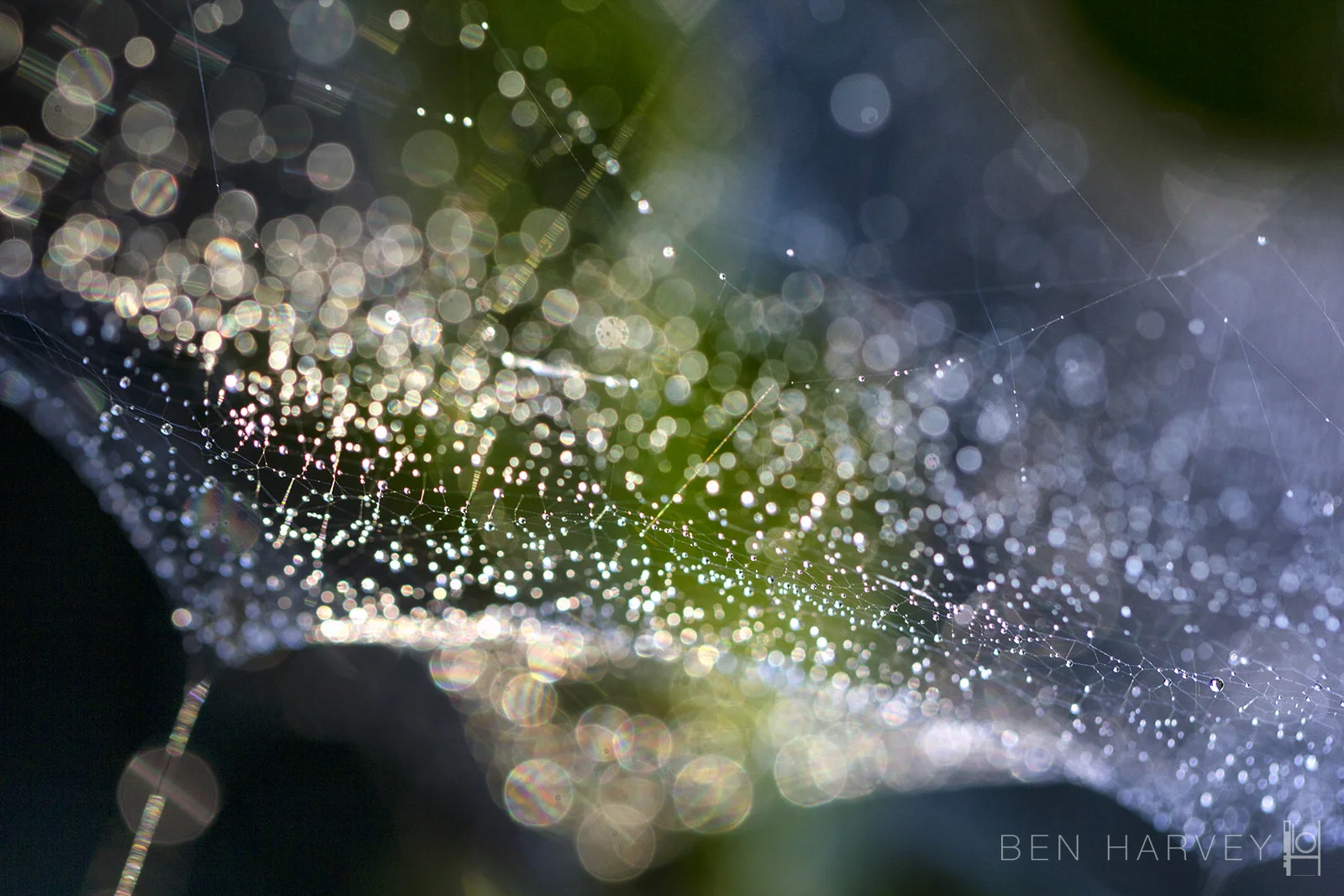 Ben Harvey Photography