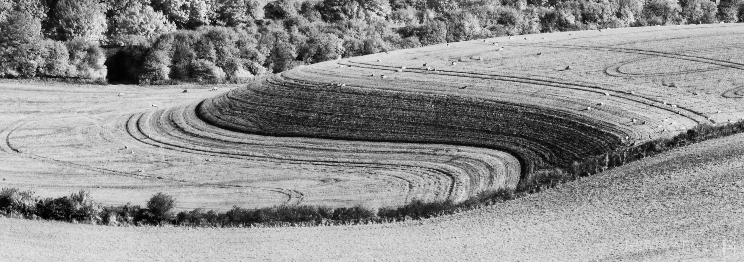 Shooting wide — Ben Harvey Photography