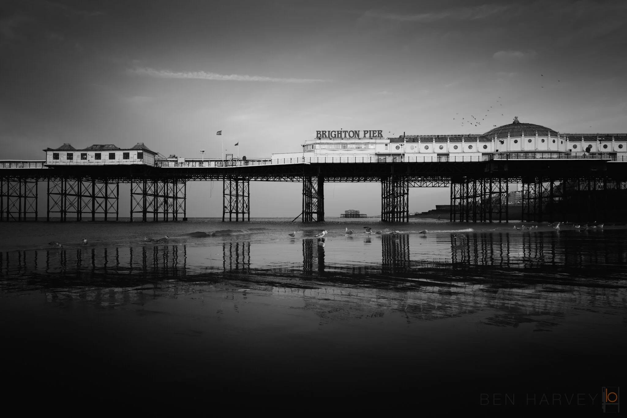 Brighton — Ben Harvey Photography