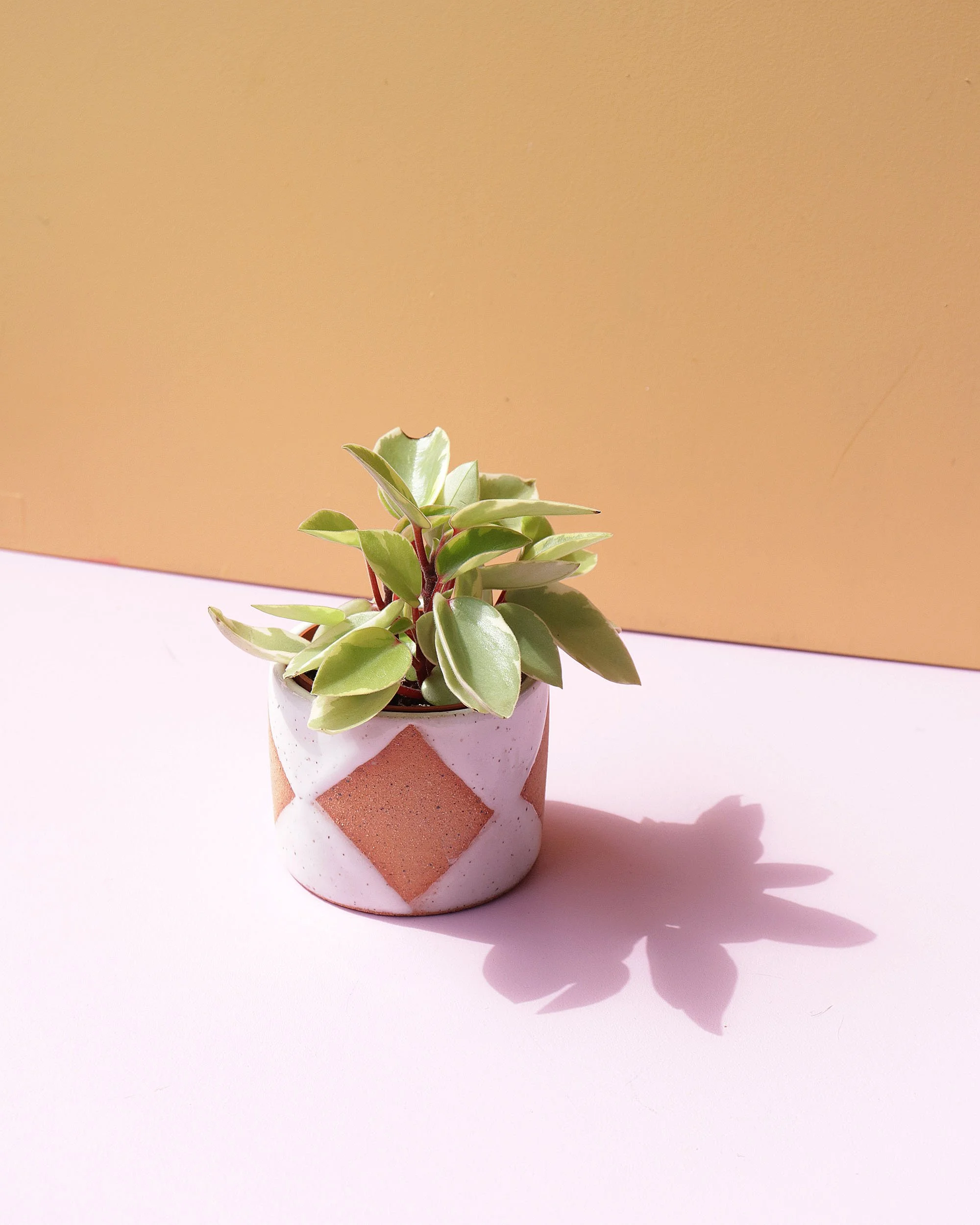 Shop — Nightshift Ceramics