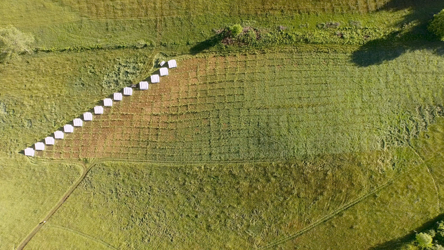 About Our Farm — Pasture Patterns Eggs