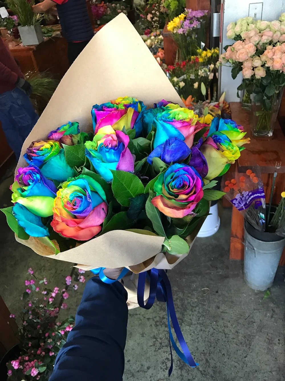 Pictures Of Rainbow Flowers