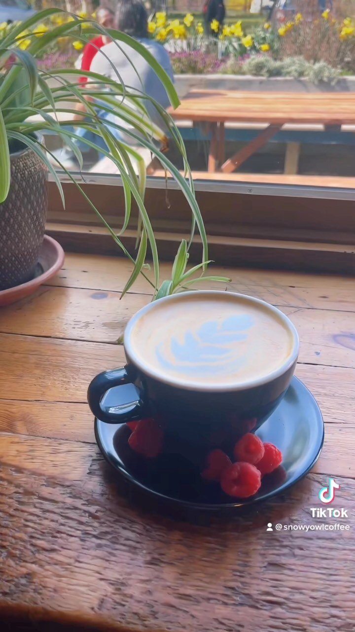 Specialty Sustainable Coffee from Cape Cod