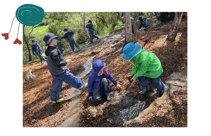Outdoor Learning for Kids and Training for Educators