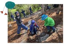 Outdoor Learning for Kids and Training for Educators