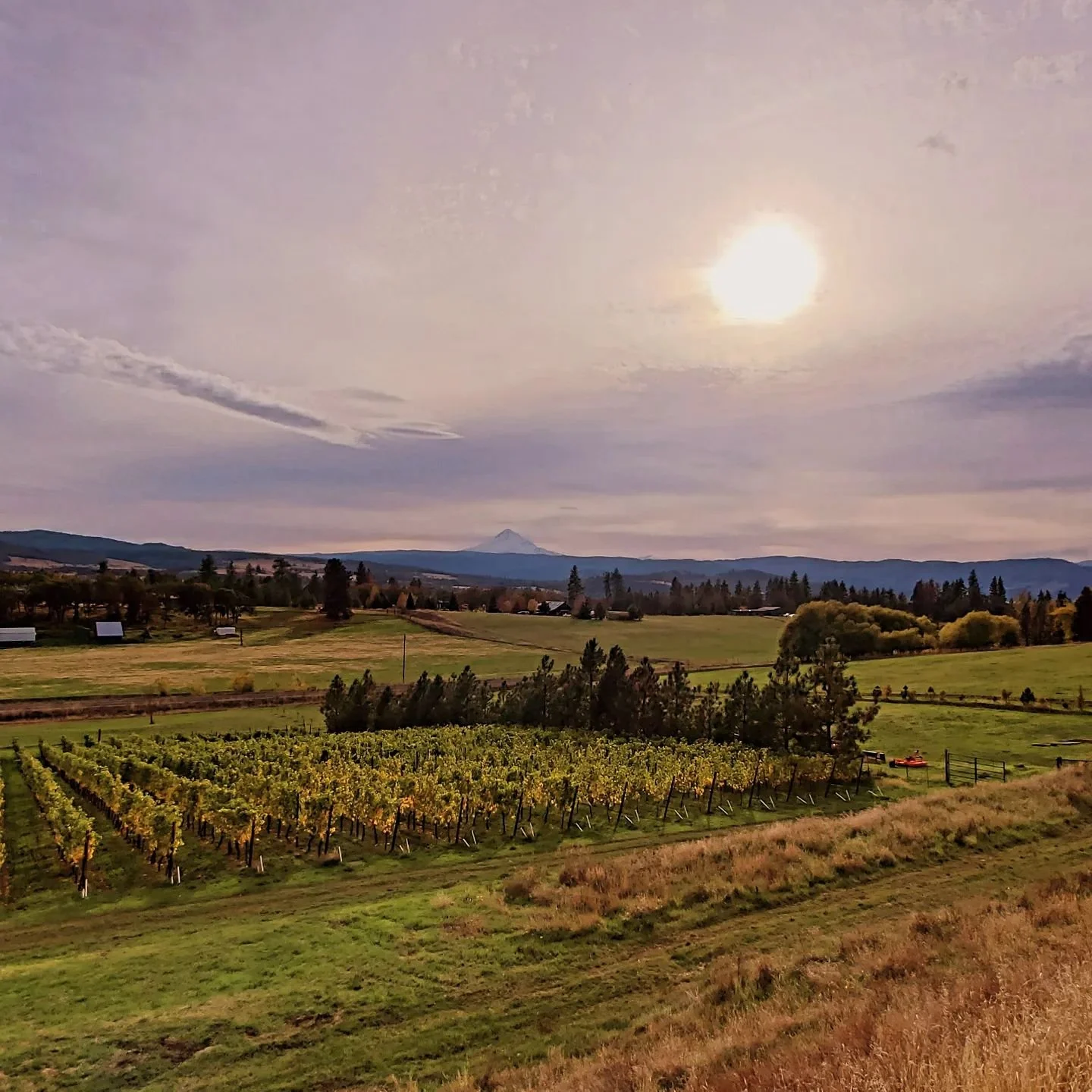 The Portland Wine Bar - Downtown