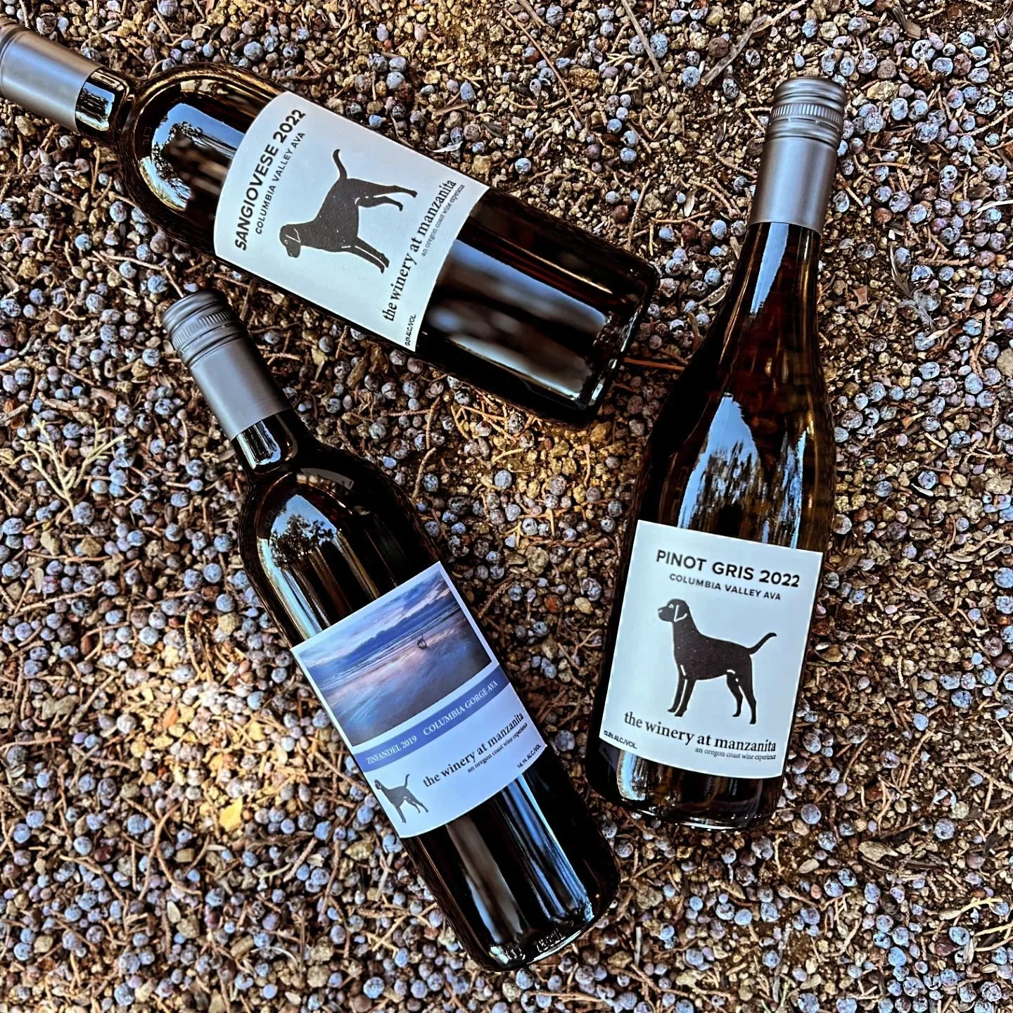 The Portland Wine Bar - Downtown