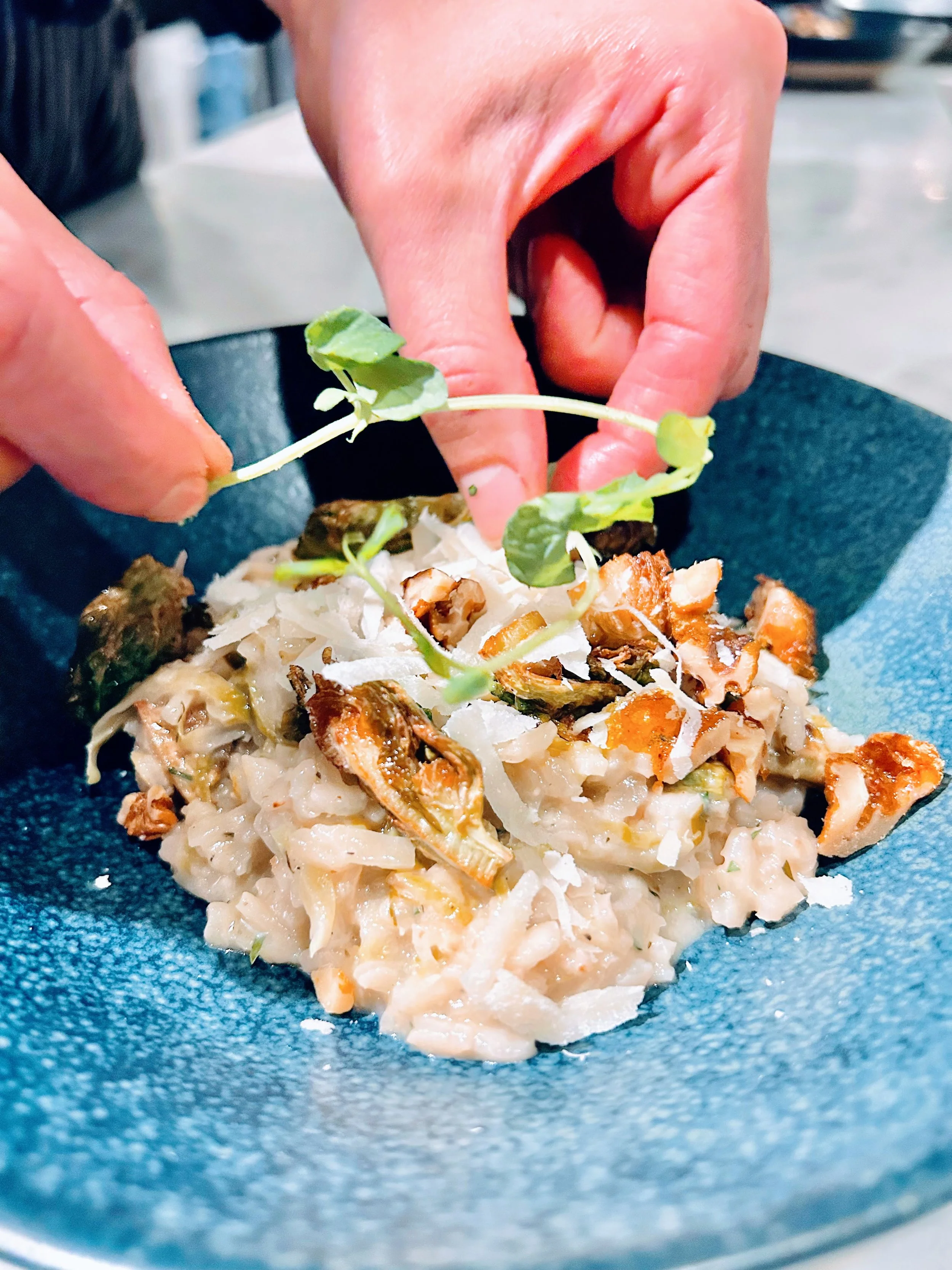 Gallery — dish