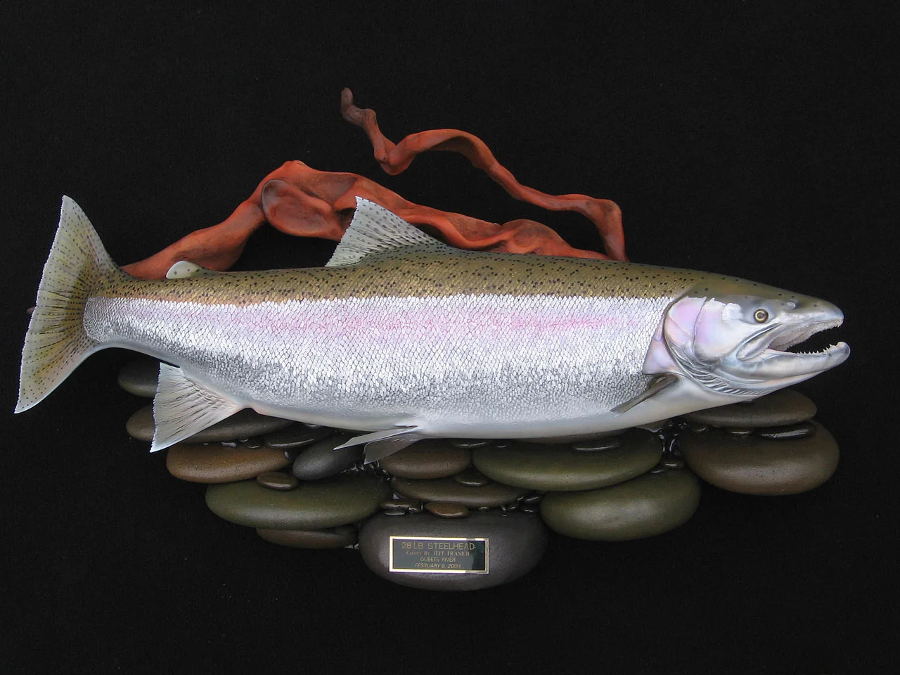 steelhead fish replicas steelhead fish mount fish art fish artist Luke ...