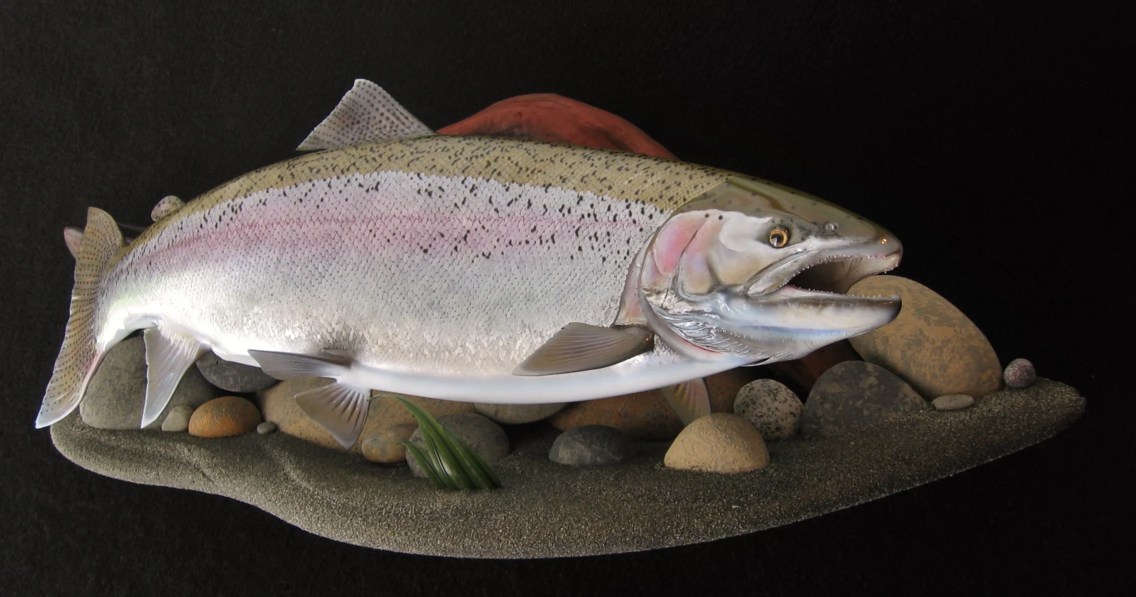 Realistic rainbow, brown, cutthroat, trout fish replicas fish mounts by ...