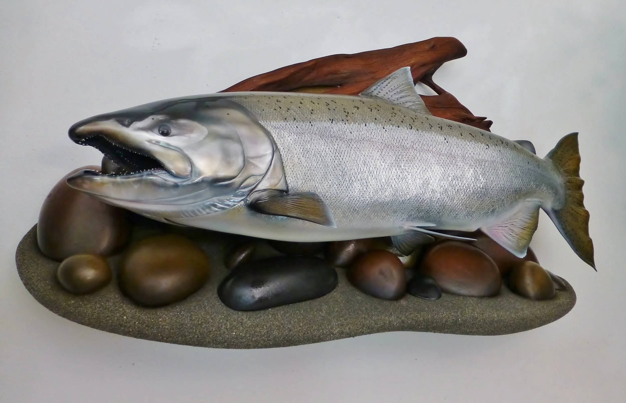 How to Order a fish replica or fish mount by fish artist Luke Filmer of ...
