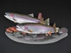 Realistic rainbow, brown, cutthroat, trout fish replicas fish mounts by ...