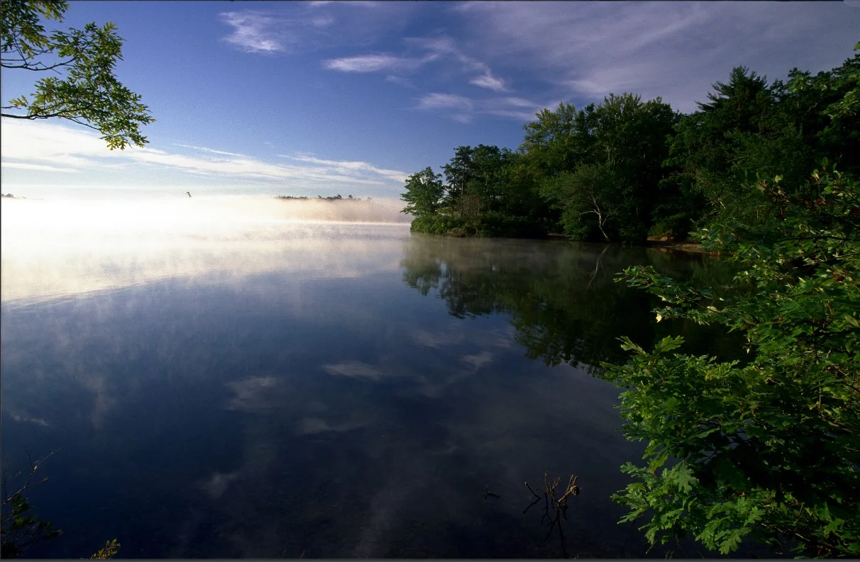 Wildlands Trust — Halfway Pond Conservation Area