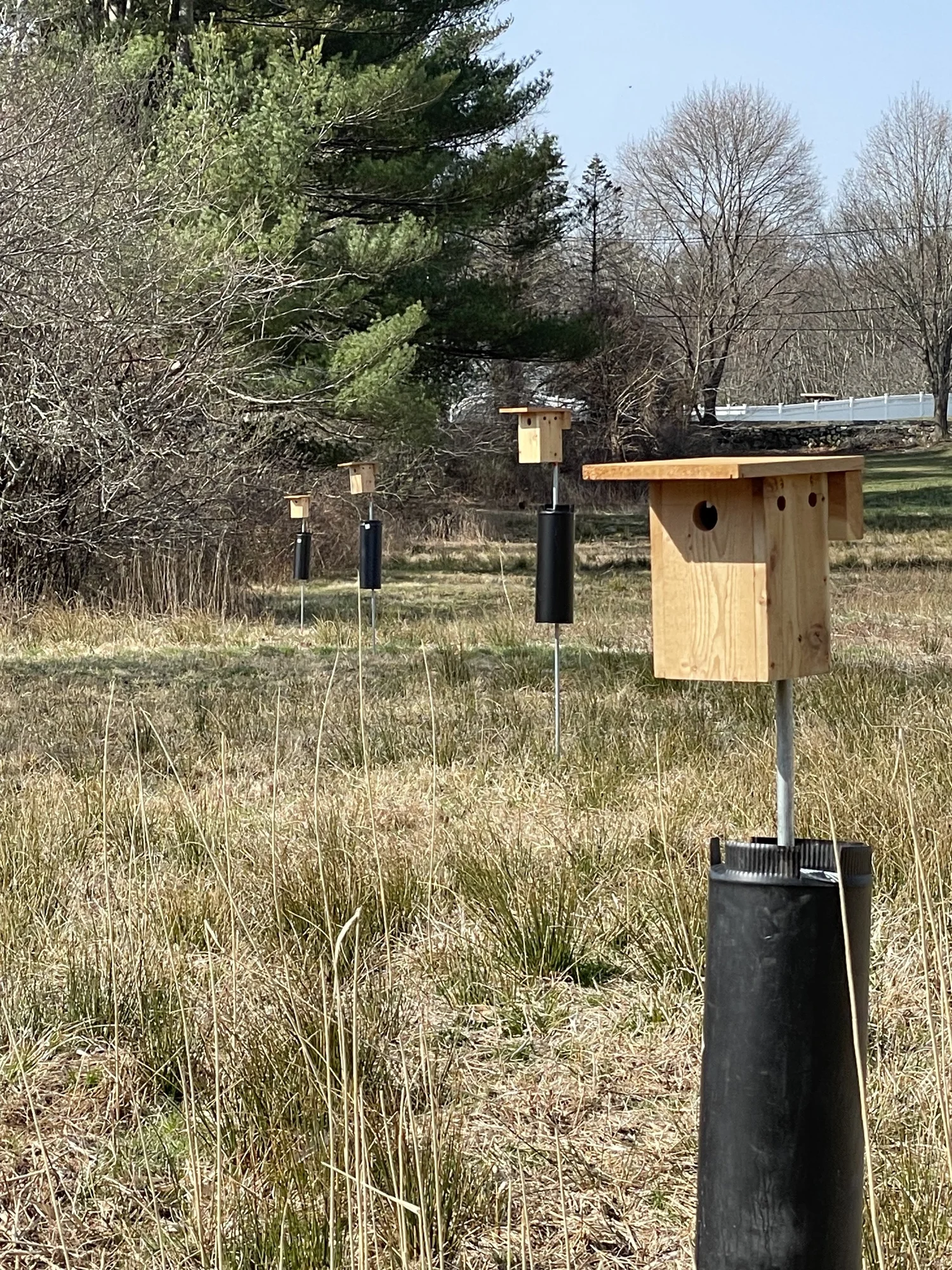Wildlands Trust — Eagle Scout Candidate Builds Bird and Bat Boxes at ...
