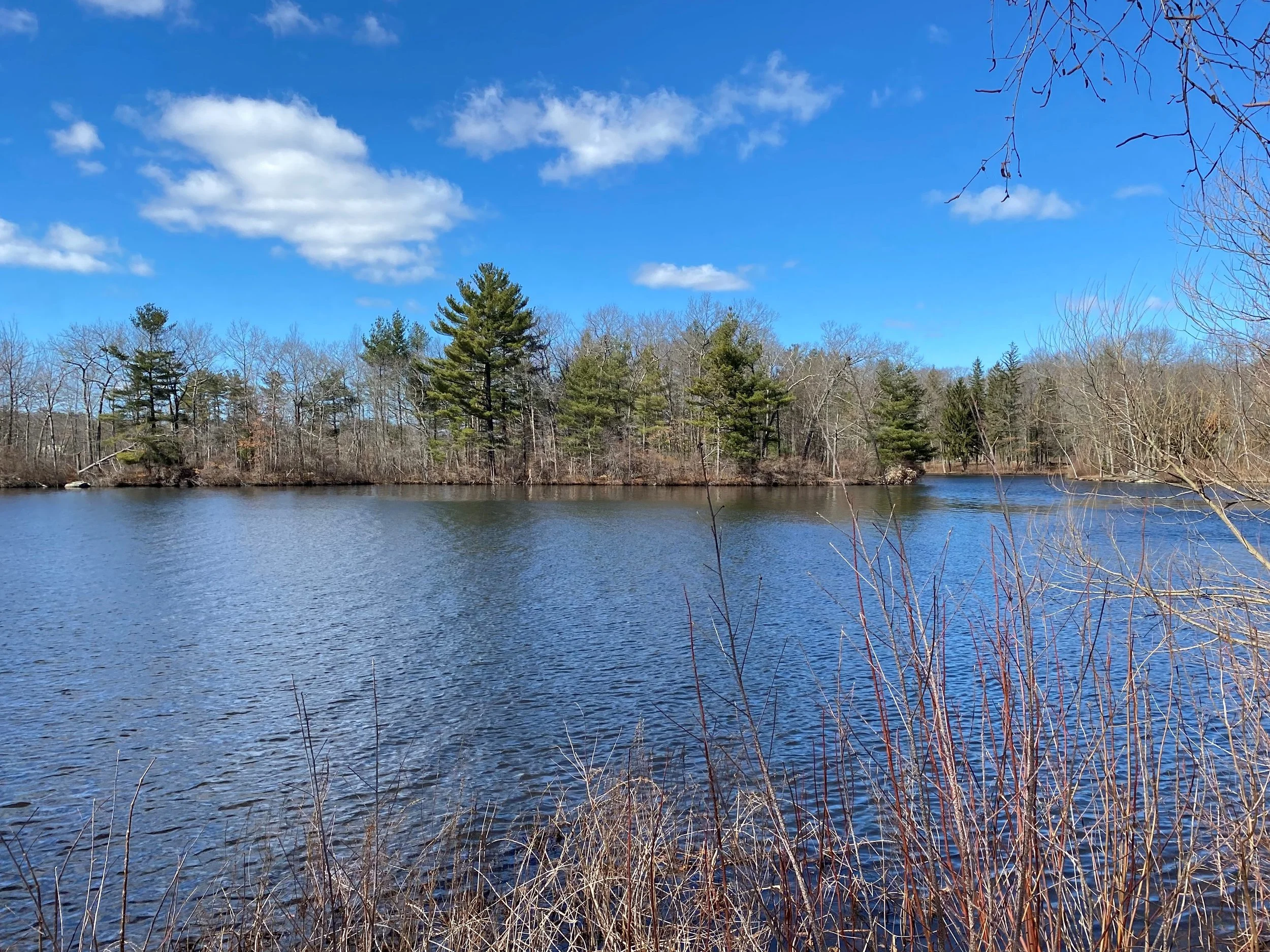 Wildlands Trust — D.W. Field Park Initiative