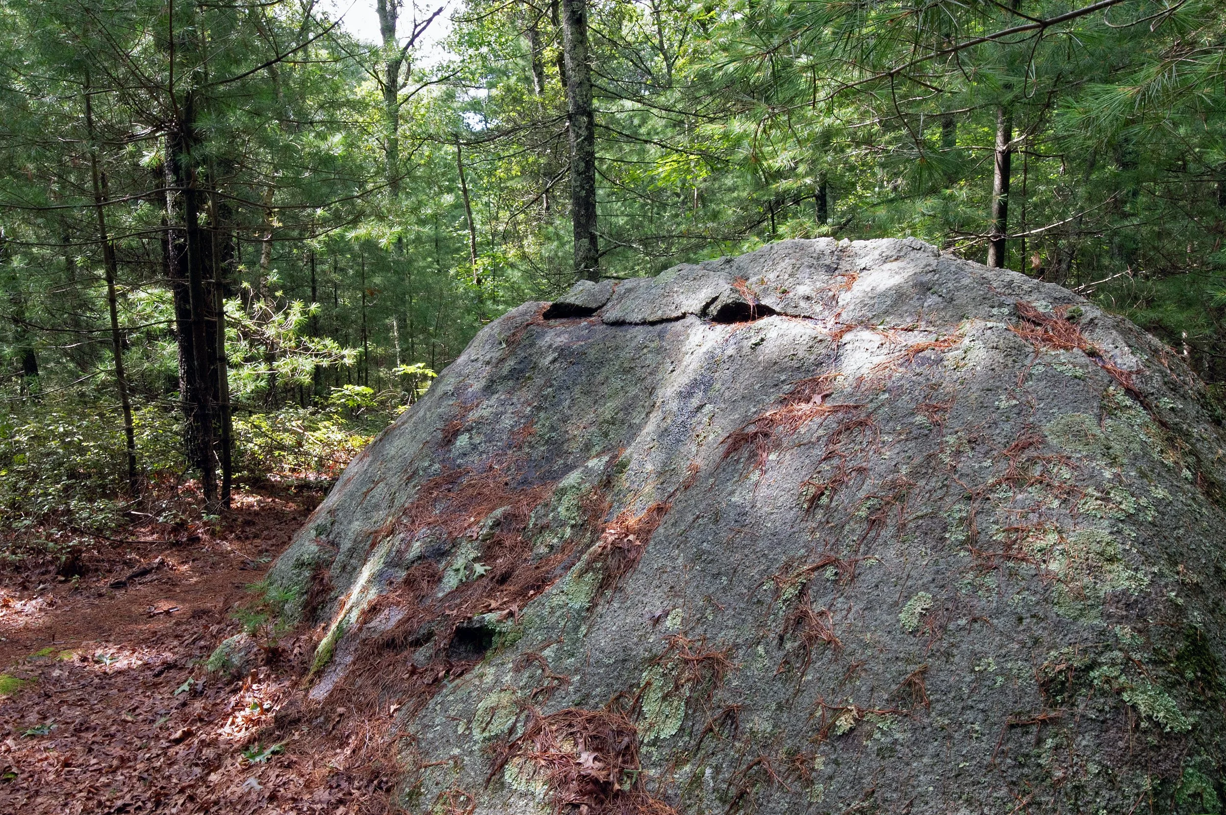 Wildlands Trust — Human History of Wildlands: Crystal Spring Preserve