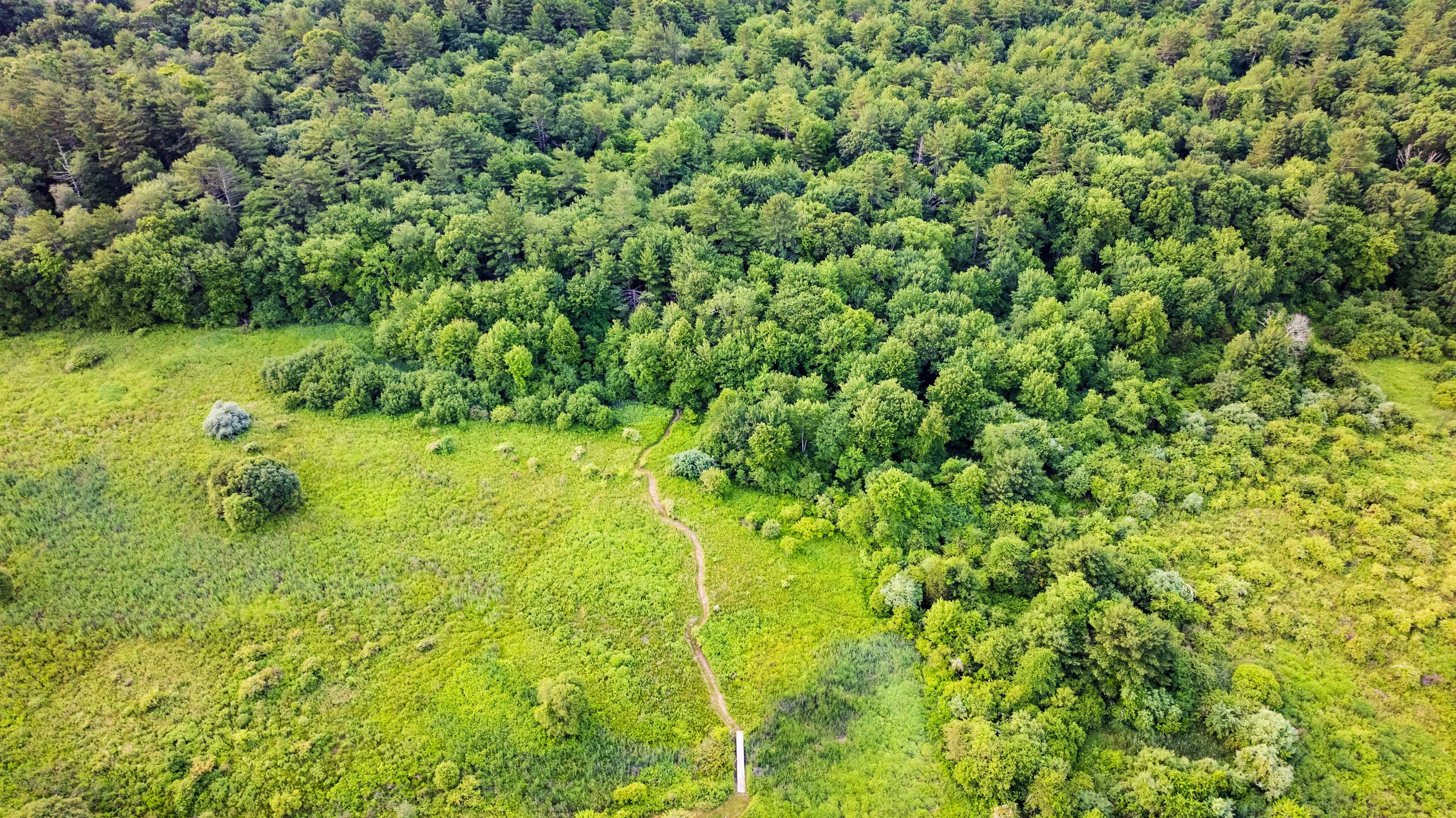 Wildlands Trust — Partnership Creates Public Preserve in Bridgewater