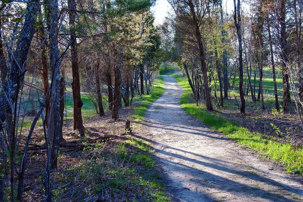 Wildlands Trust — Wildlands Raises Over $71,000 for Willow Brook Farm