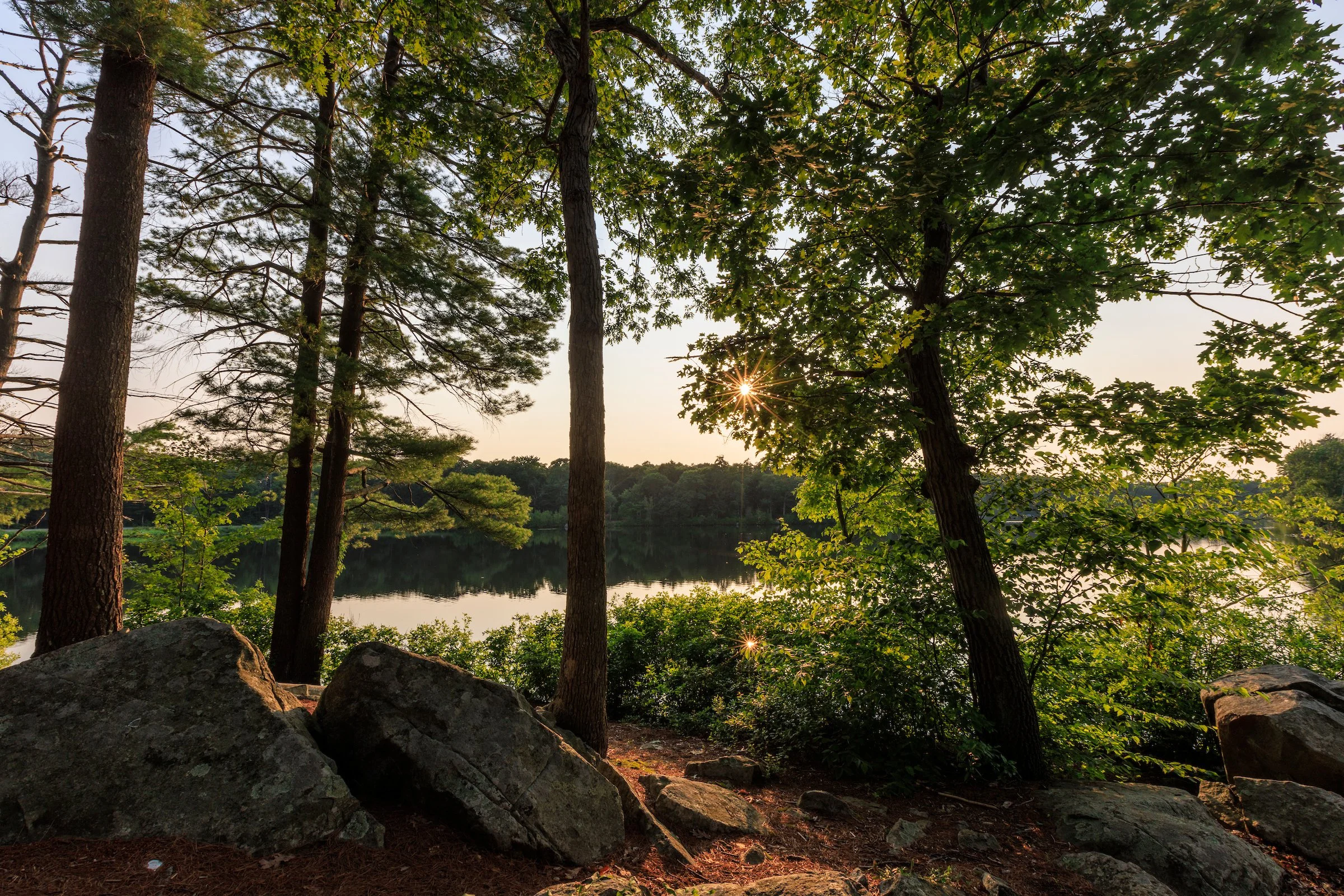 Wildlands Trust — Communities Unite to Expand D.W. Field Park