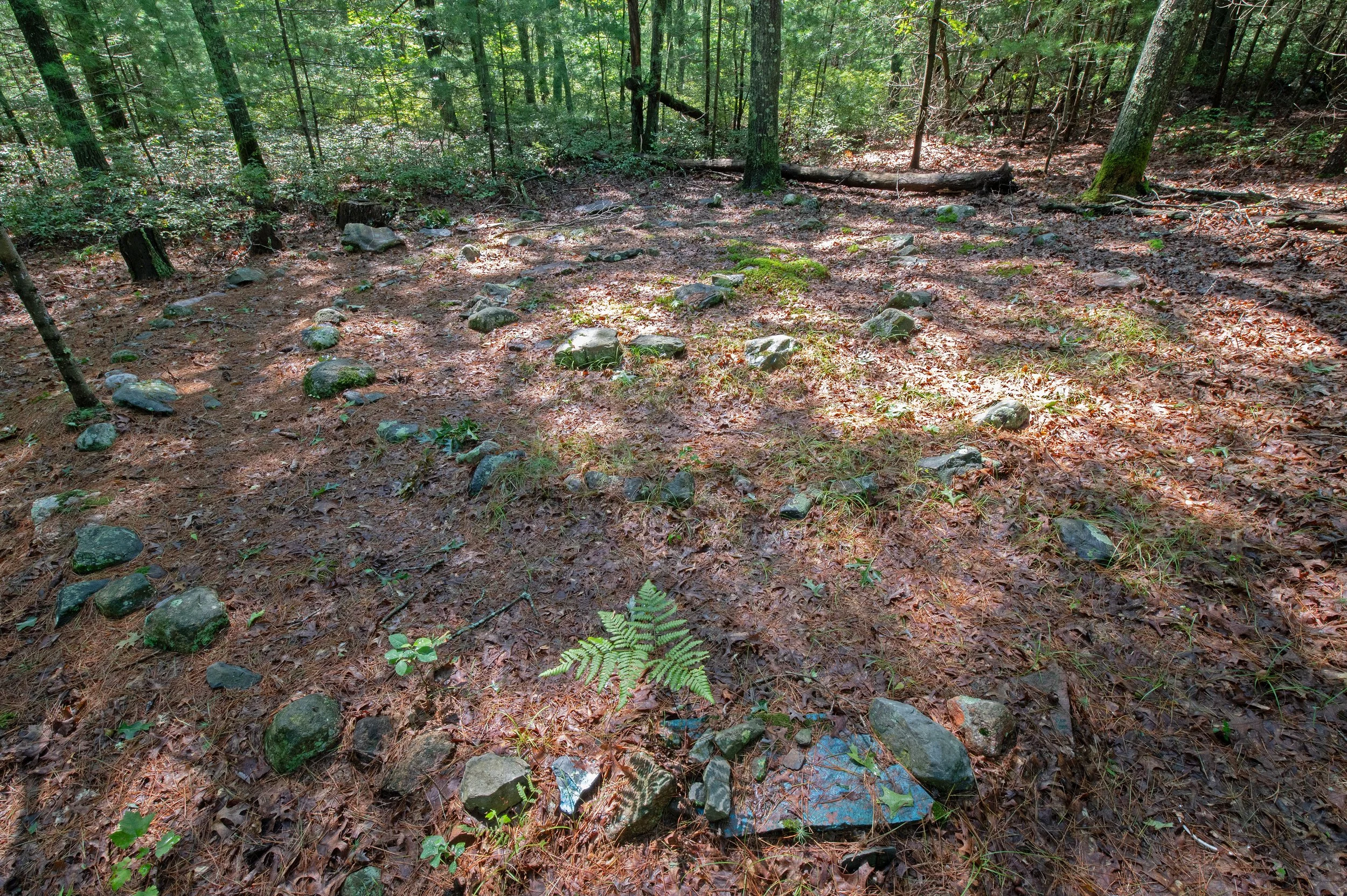 Wildlands Trust — Human History of Wildlands: Crystal Spring Preserve